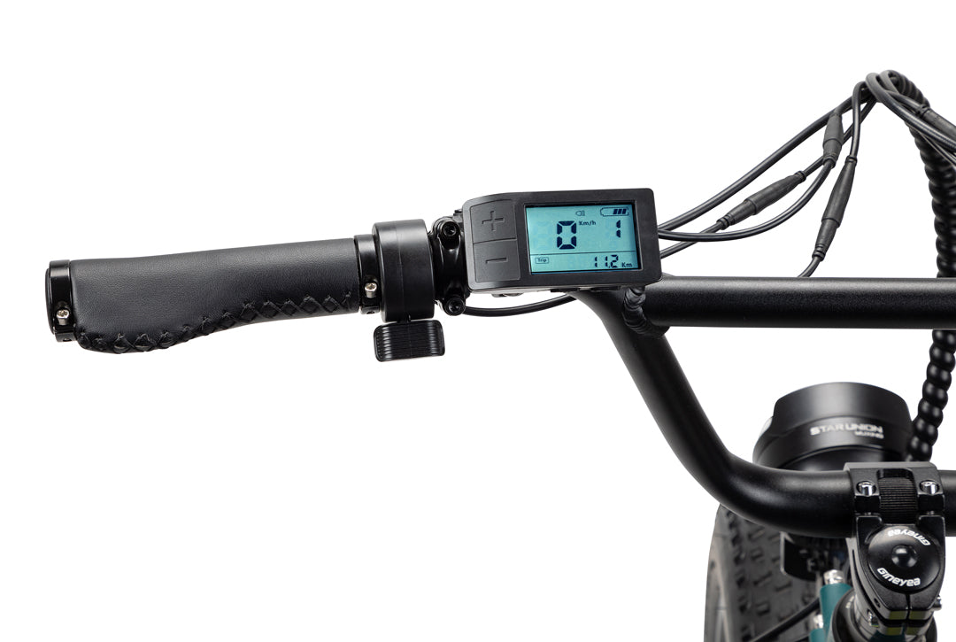 Bicicleta Eléctrica Wild Verde Oscuro – Rabbit Bikes